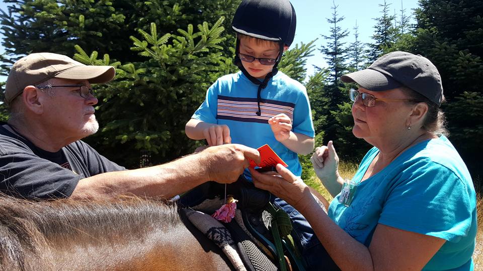 Equine Therapy Programs by Horses of Hope Oregon